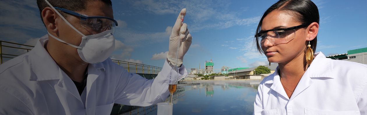 About RGE Group - RGEI.com | Royal Golden Eagle Group | Raja Garuda Emas