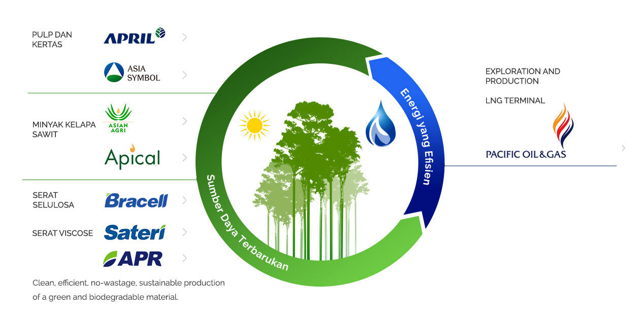 RGE (Royal Golden Eagle) Group | Sustainable Resources | Raja Garuda Emas